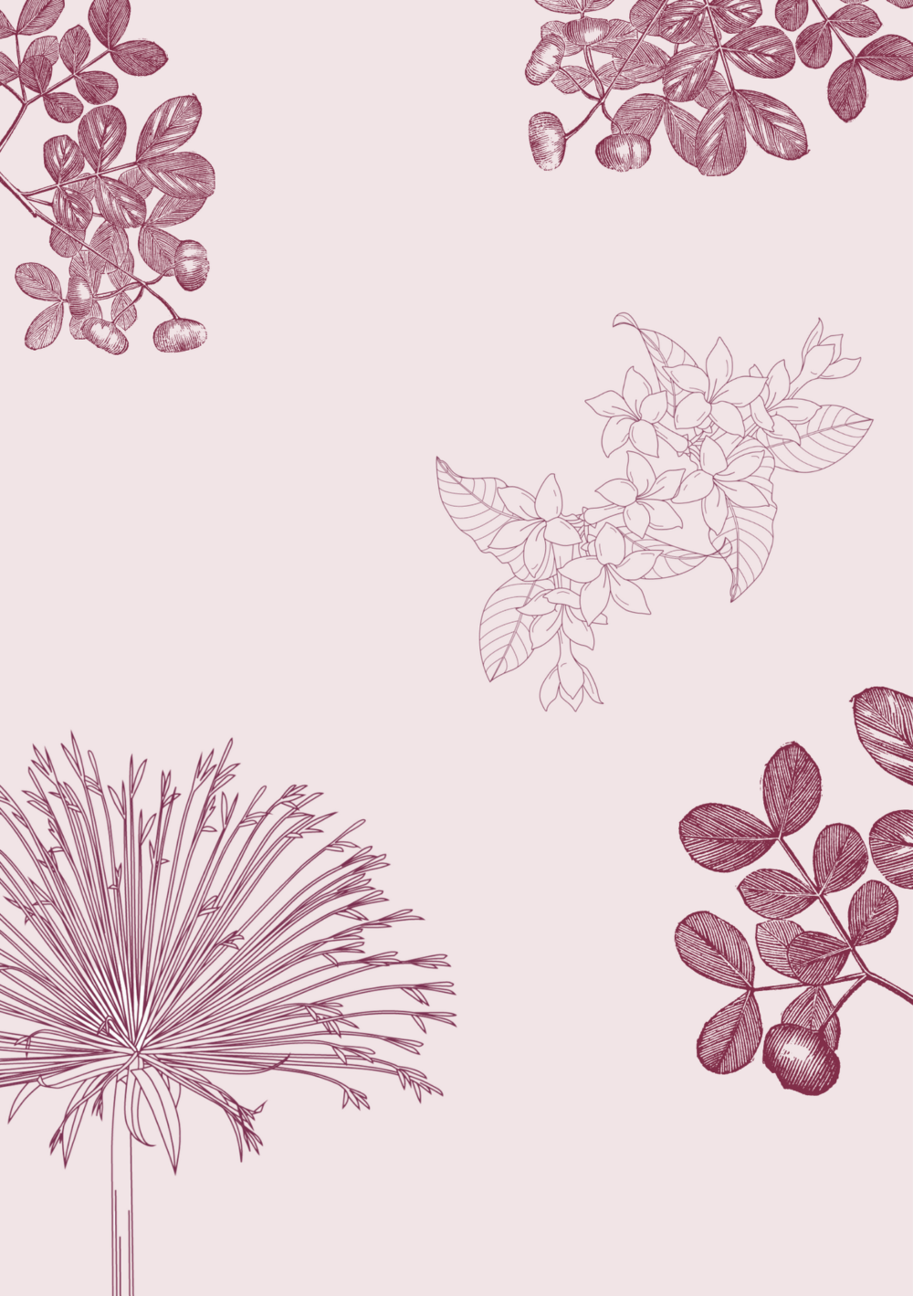 Excellence Spa - Excellence Group